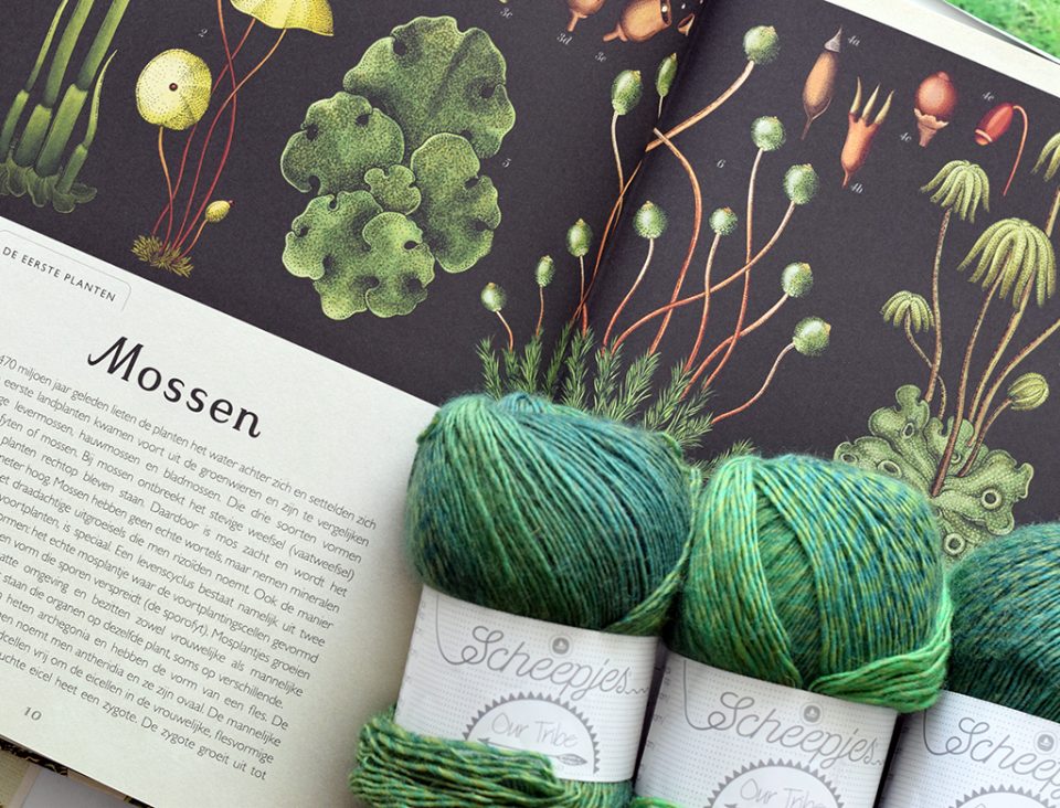 Free Pattern: Blooming Moss Scarf – A Spoonful of Yarn